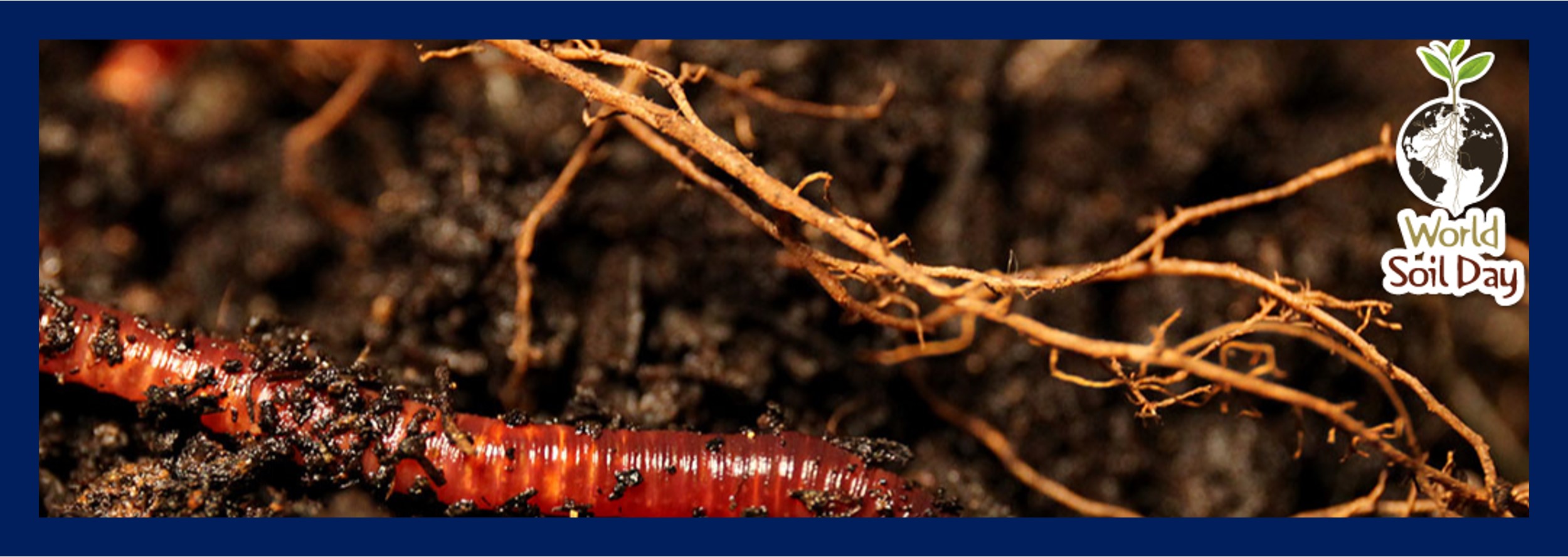 SIEUSOIL OBSERVATORY FOR INTELLIGENT LAND USE MANAGEMENT - Interesting ...